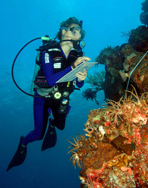 Marine Education Development | Supporting Marine Education and Research